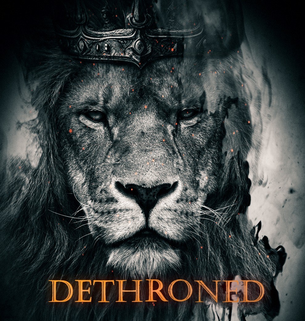 Dethroned hero image.jpg | FOUR PAWS