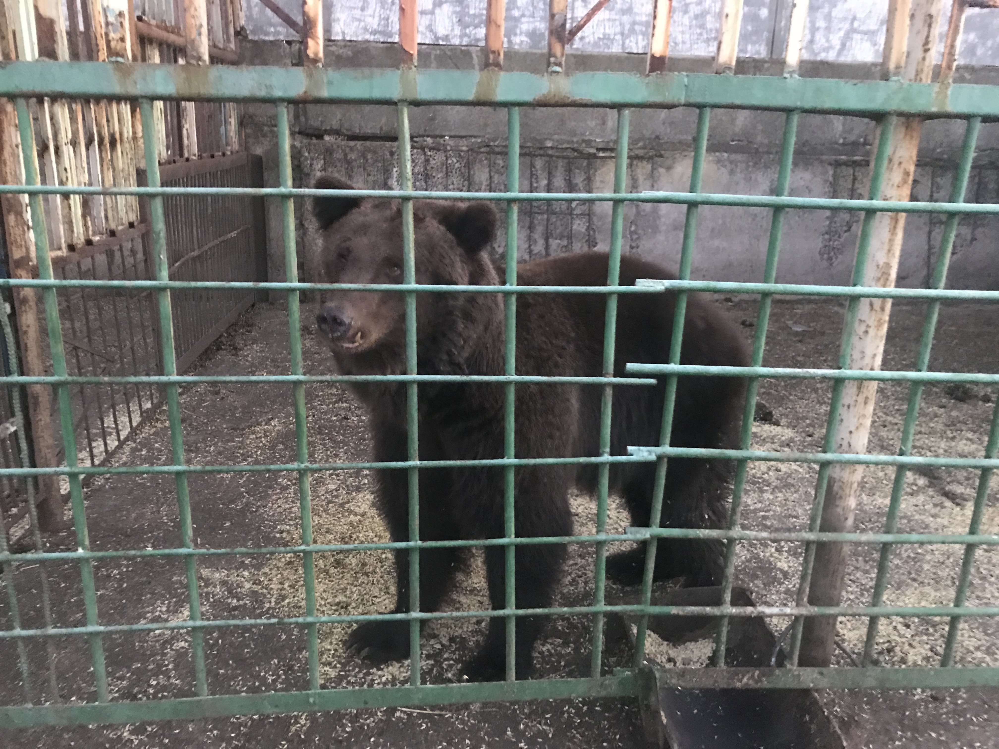 VIER PFOTEN_2018-11-30_019.JPG | FOUR PAWS